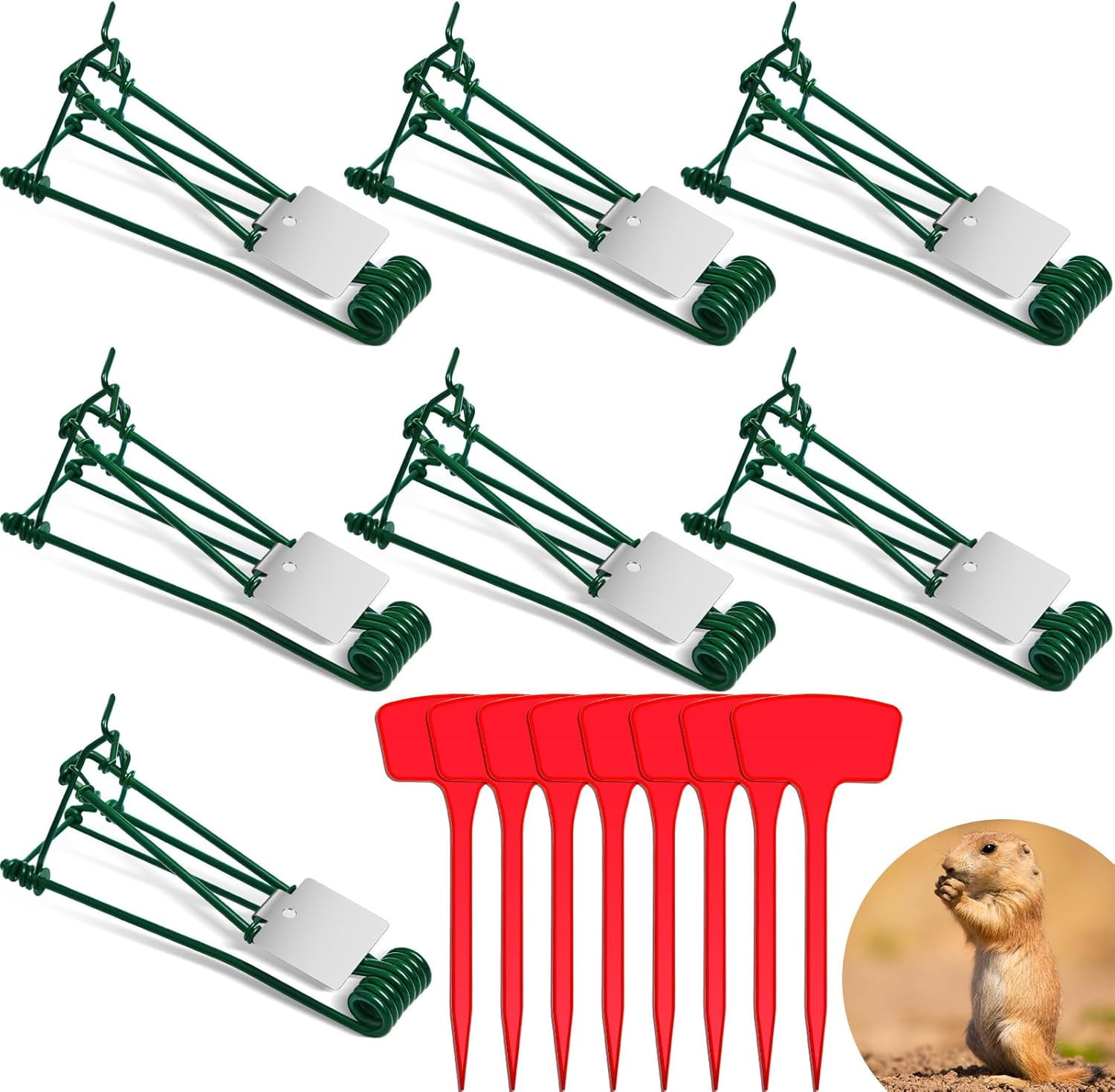 XD3-8 Pcs Outdoor Gopher Trap Easy to Set Mole Trap Weather Resistant ...