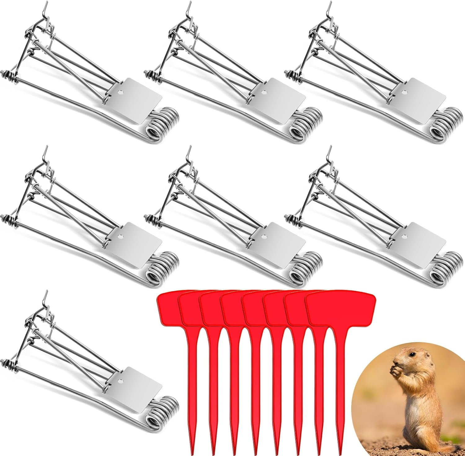 XD3-8 Pcs Outdoor Gopher Trap Easy to Set Mole Trap Weather Resistant ...
