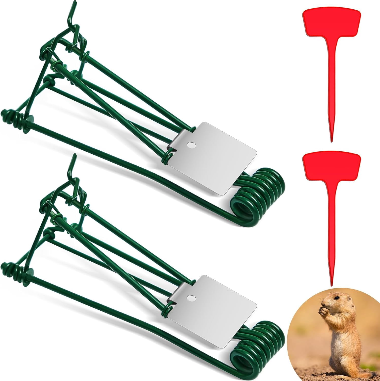 XD3-8 Pcs Outdoor Gopher Trap Easy to Set Mole Trap Weather Resistant ...