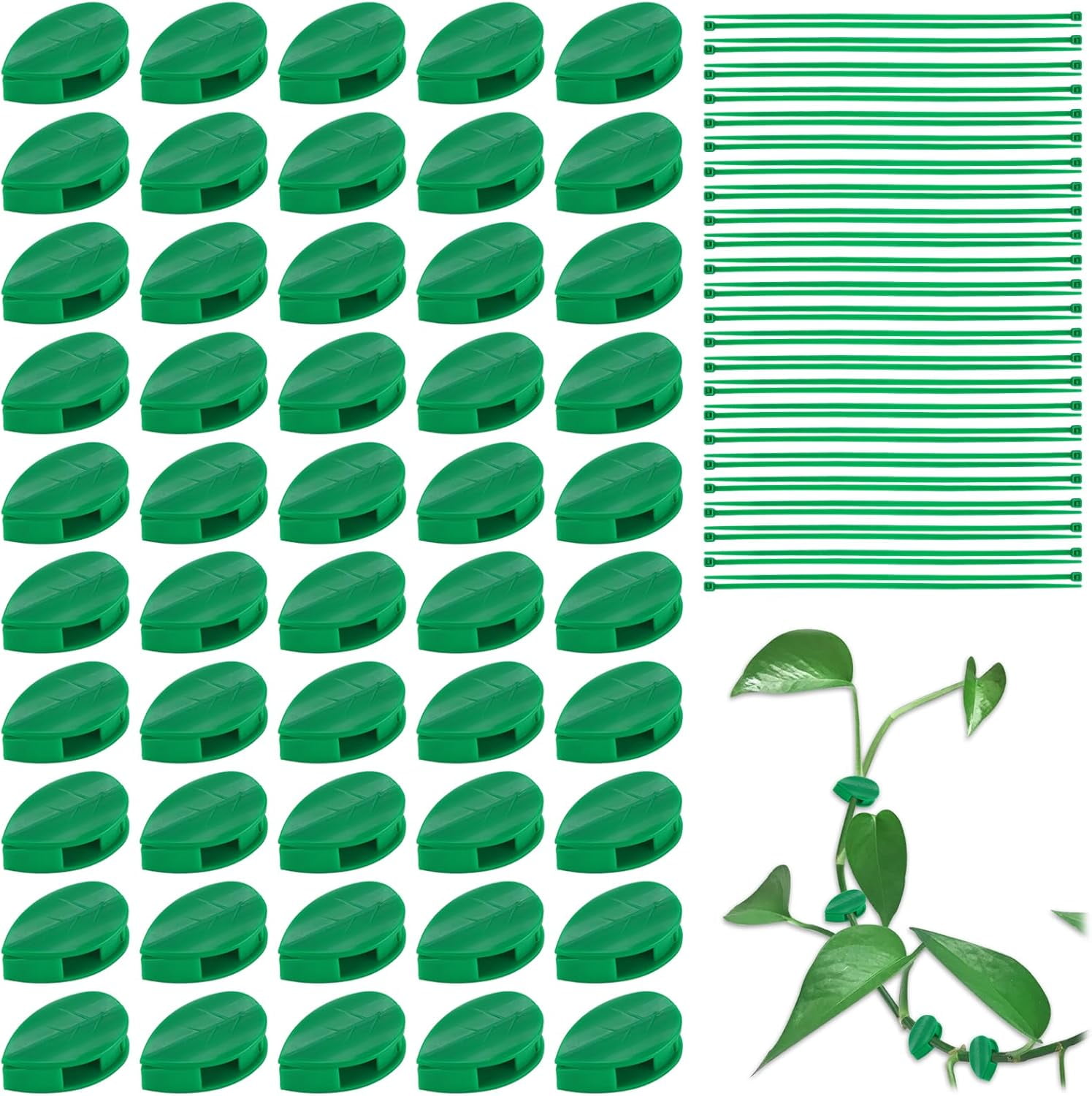 XD4-100 Pcs Plant Wall Clips Set for Climbing Plants, Self-Adhesive ...