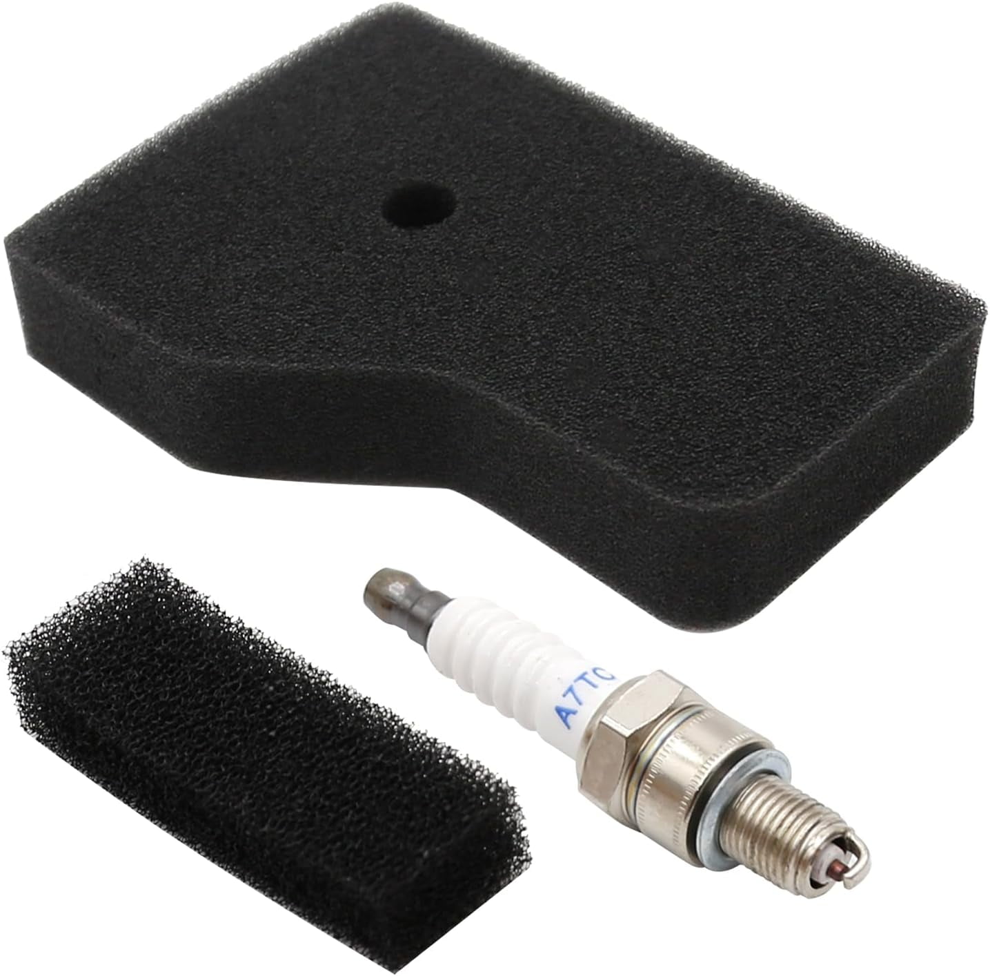 Honda Companion Eu2000i