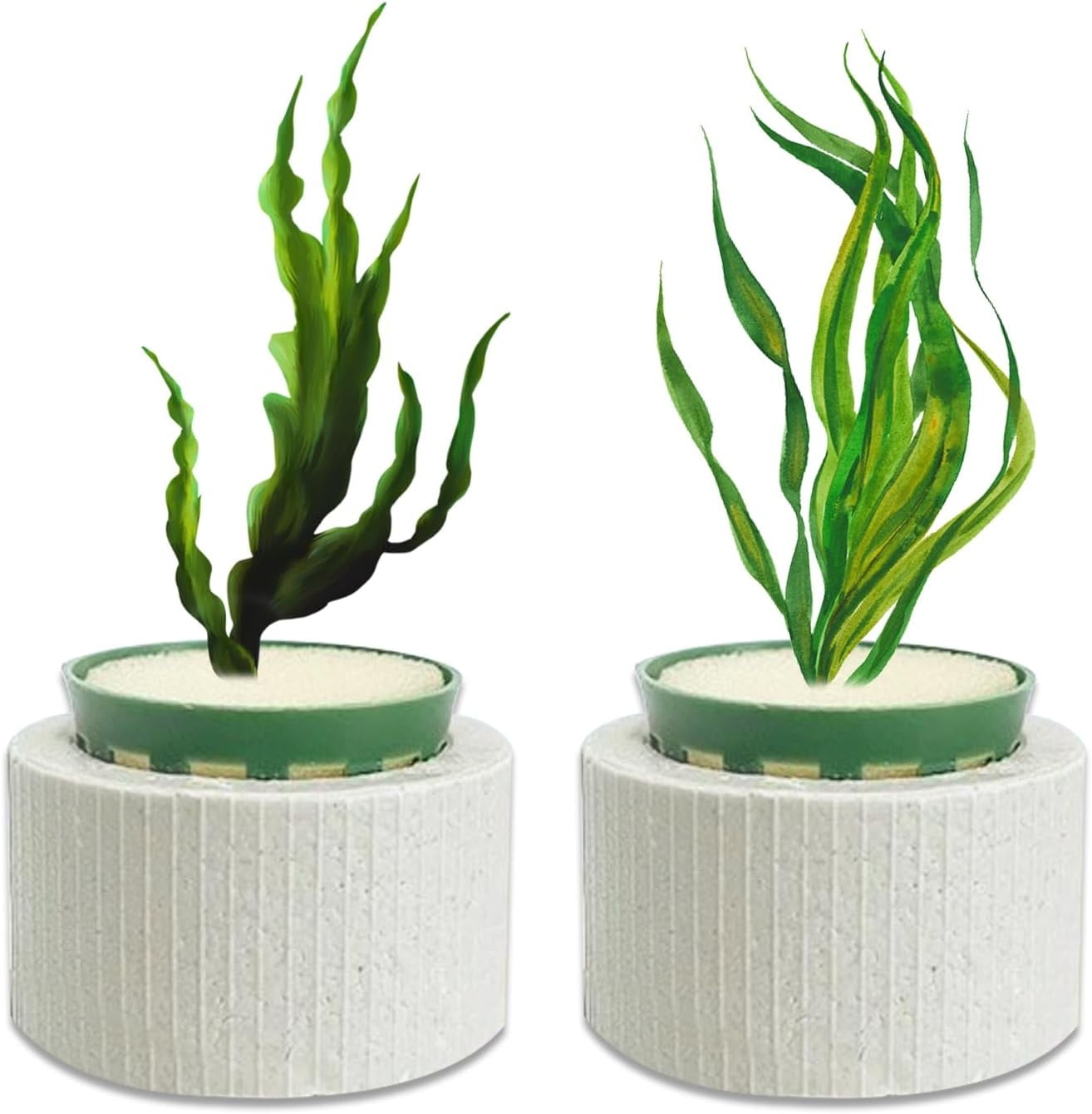 XD4-2 Pack Aquarium Plant Holder Anchors Aquatic Plant Pots and Weights ...