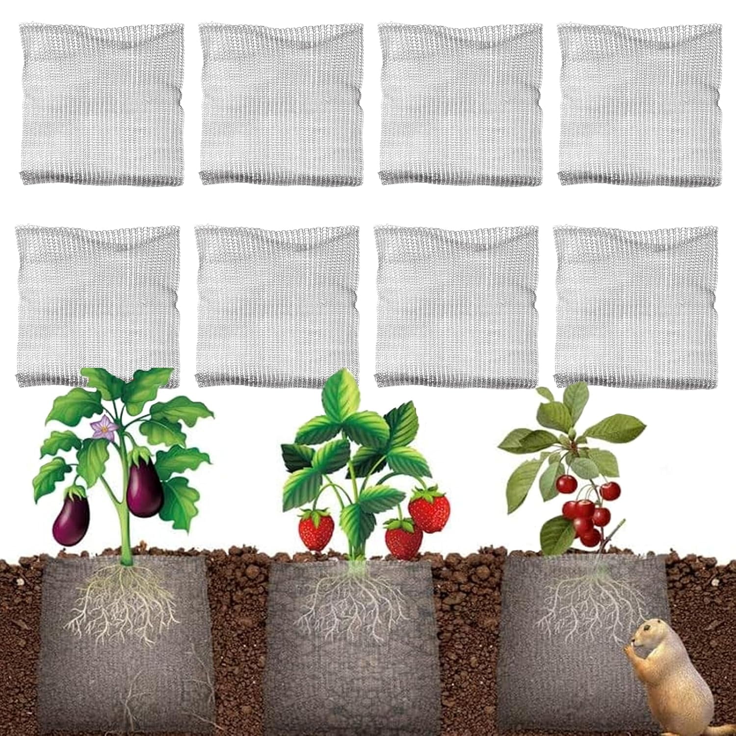 XD5-8 Pack Root Guard 3 Gallon Gopher and Vole Wire Speed Baskets Plant ...