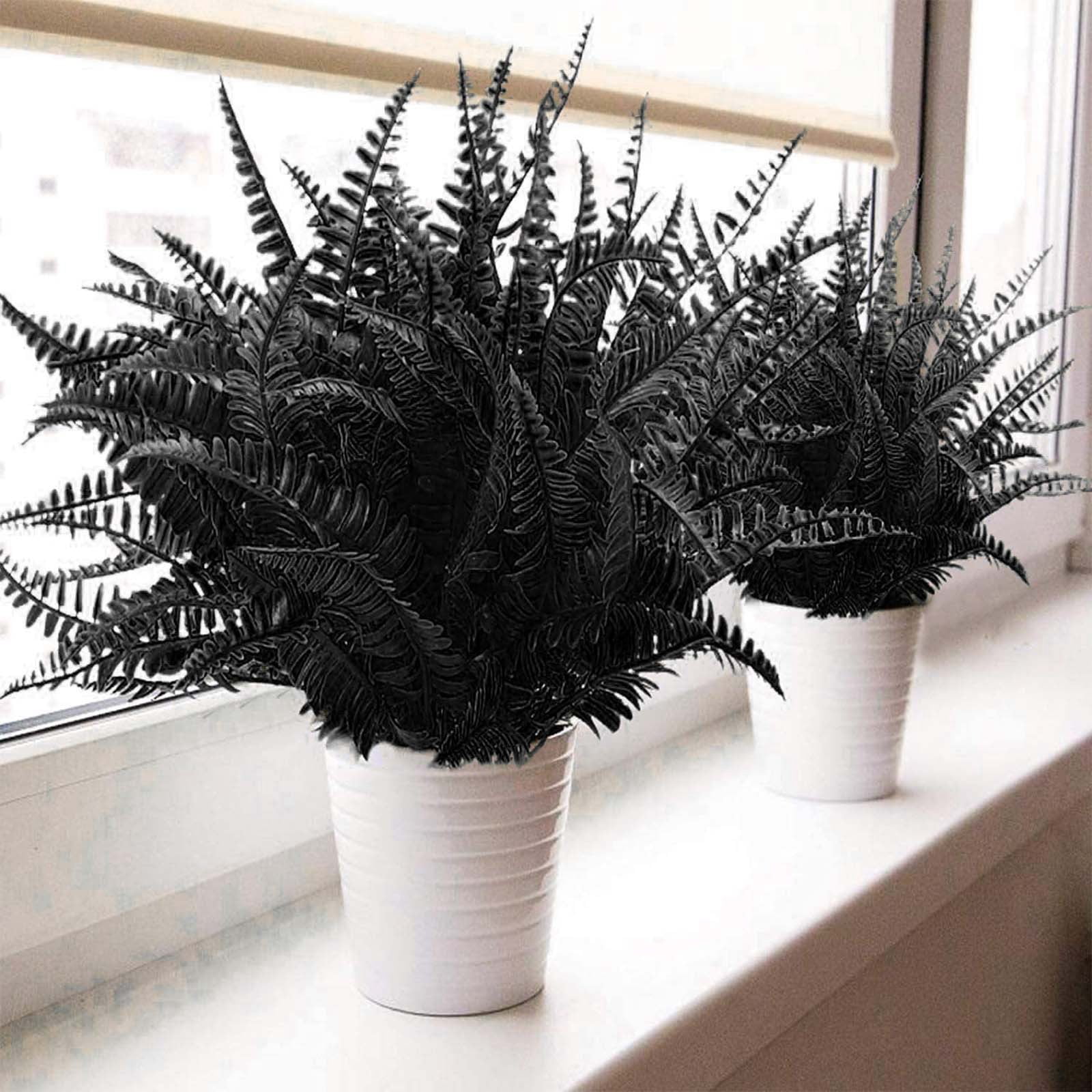 XDDST Black Fern Indoor Outdoor Decorative Material Long Term Use Shrub ...