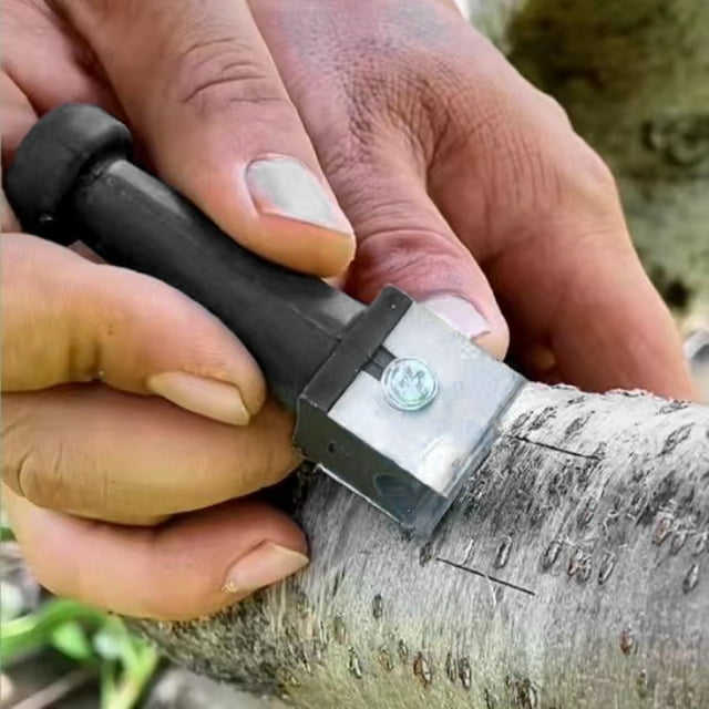 XDDST Garden Grafting Fruit Tree Grafting Tool Pruning Garden Grafting ...