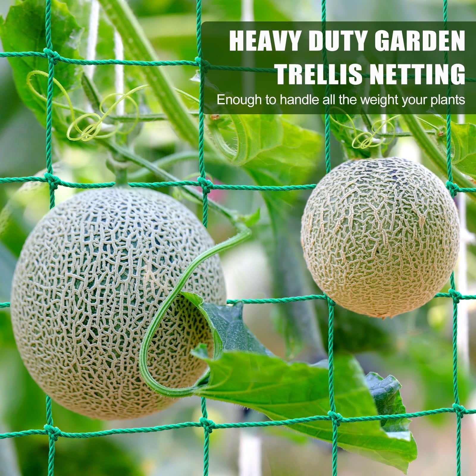 XDDST Netting 9.85x6.6Ft Garden Netting for Climbing with 9.85Ft Garden ...