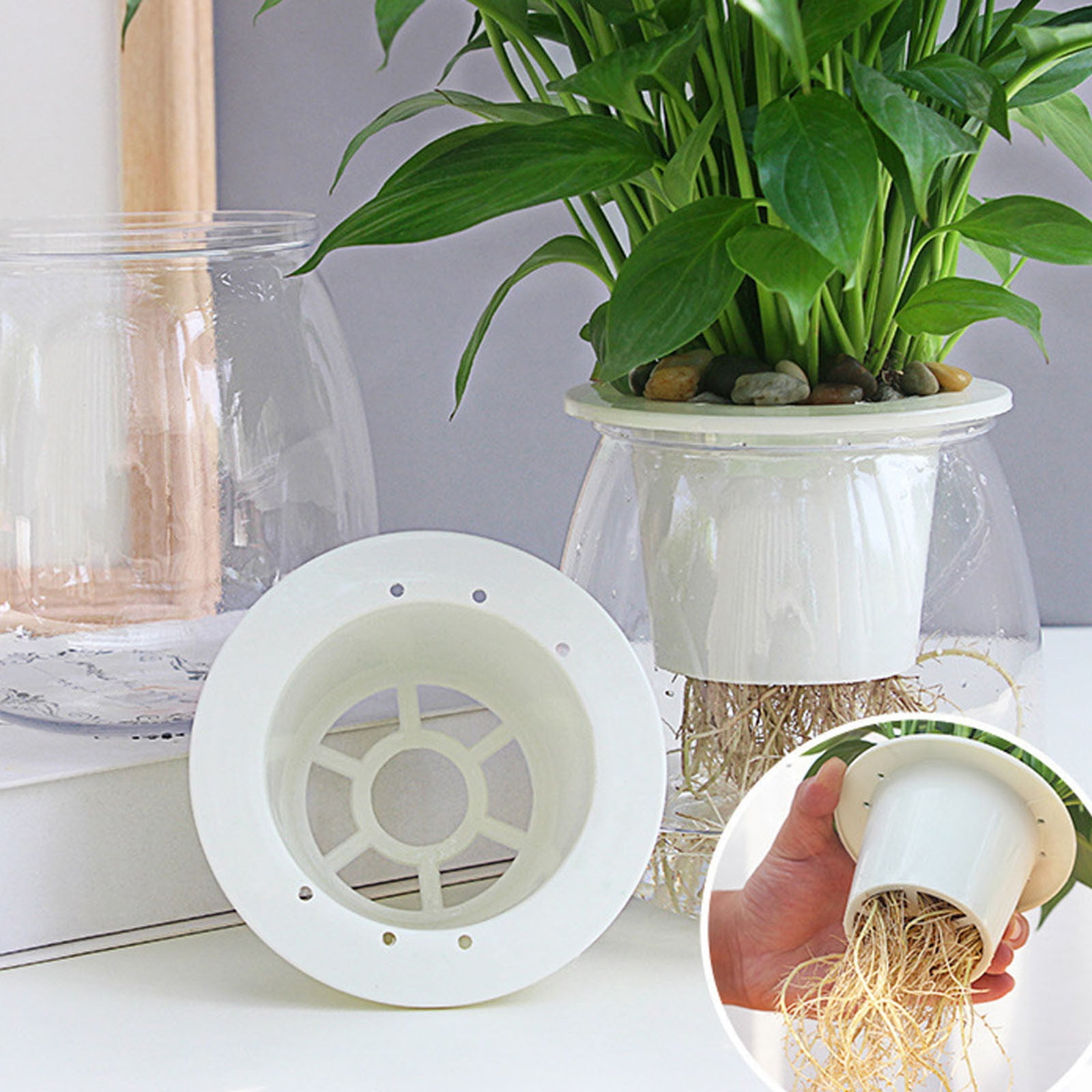 XDDST Self Watering Planter Violet Pots Clear Automatic Watering ...