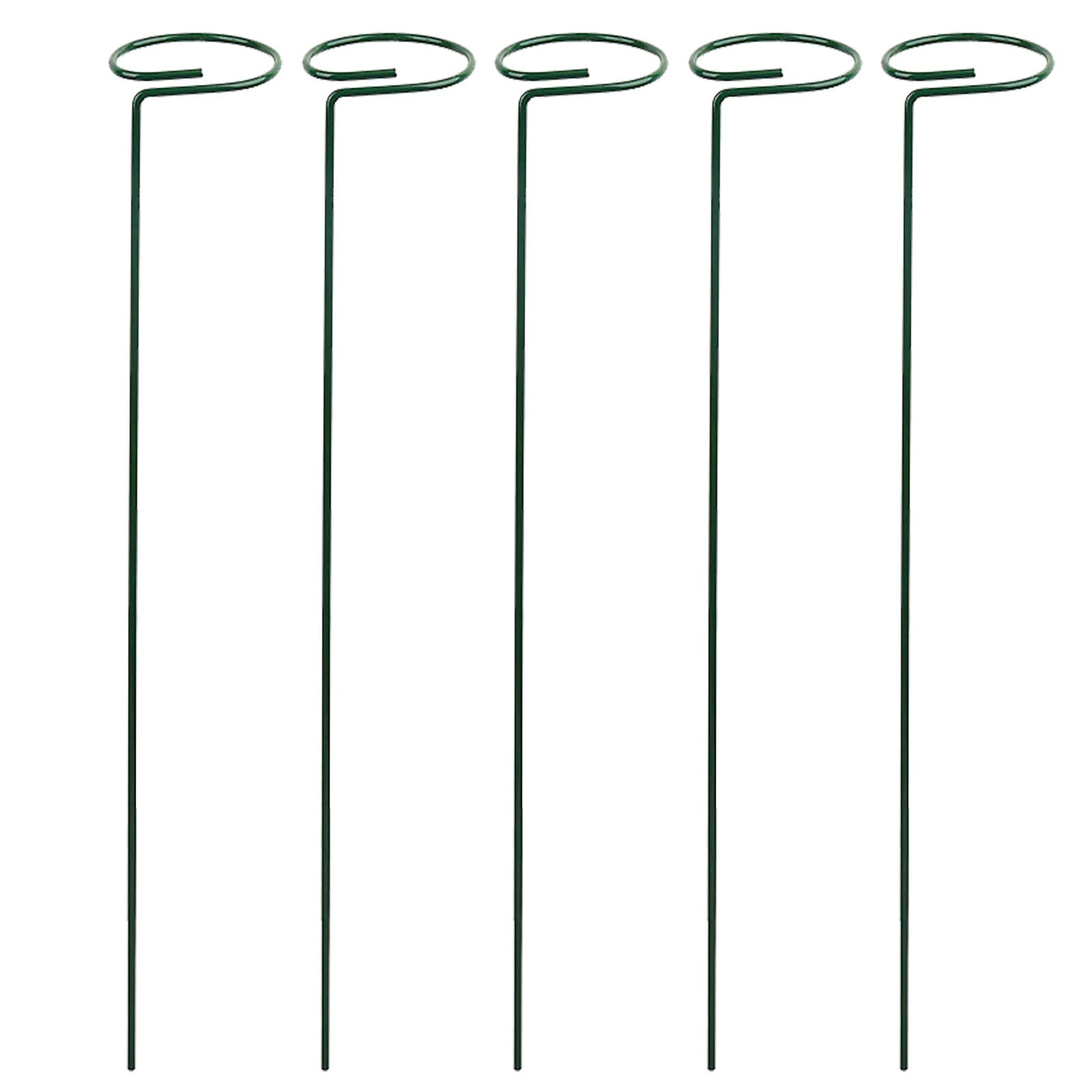 XDDST Support Stakes Garden Single Flower Stem Cage for Orchid Lily ...