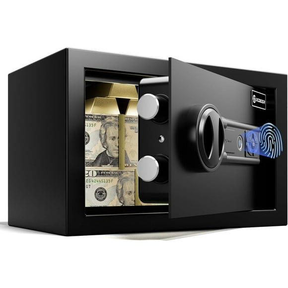 Fingerprint Lock Box