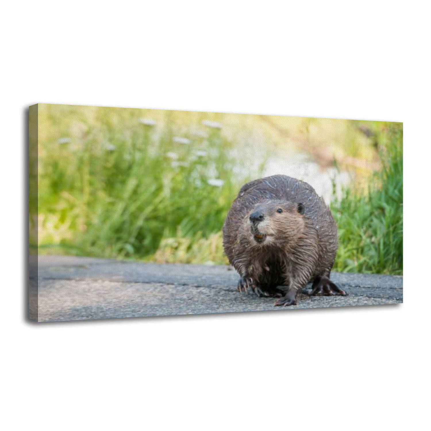 XEOSLKRH Canvas Wall Art Beaver Wall Decor for Living Room Bathroom ...