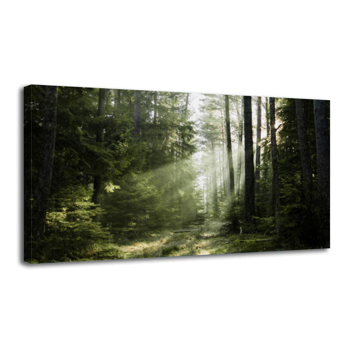 XEOSLKRH Canvas Wall Art Sunlight shines trees forest Wall Decor for ...