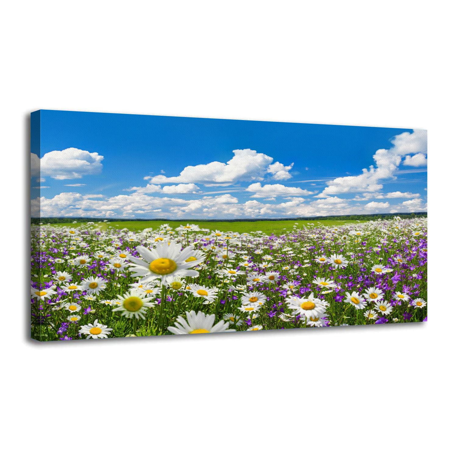 XEOSLKRH Canvas Wall Art spring landscape flowering flowers meadow Wall ...