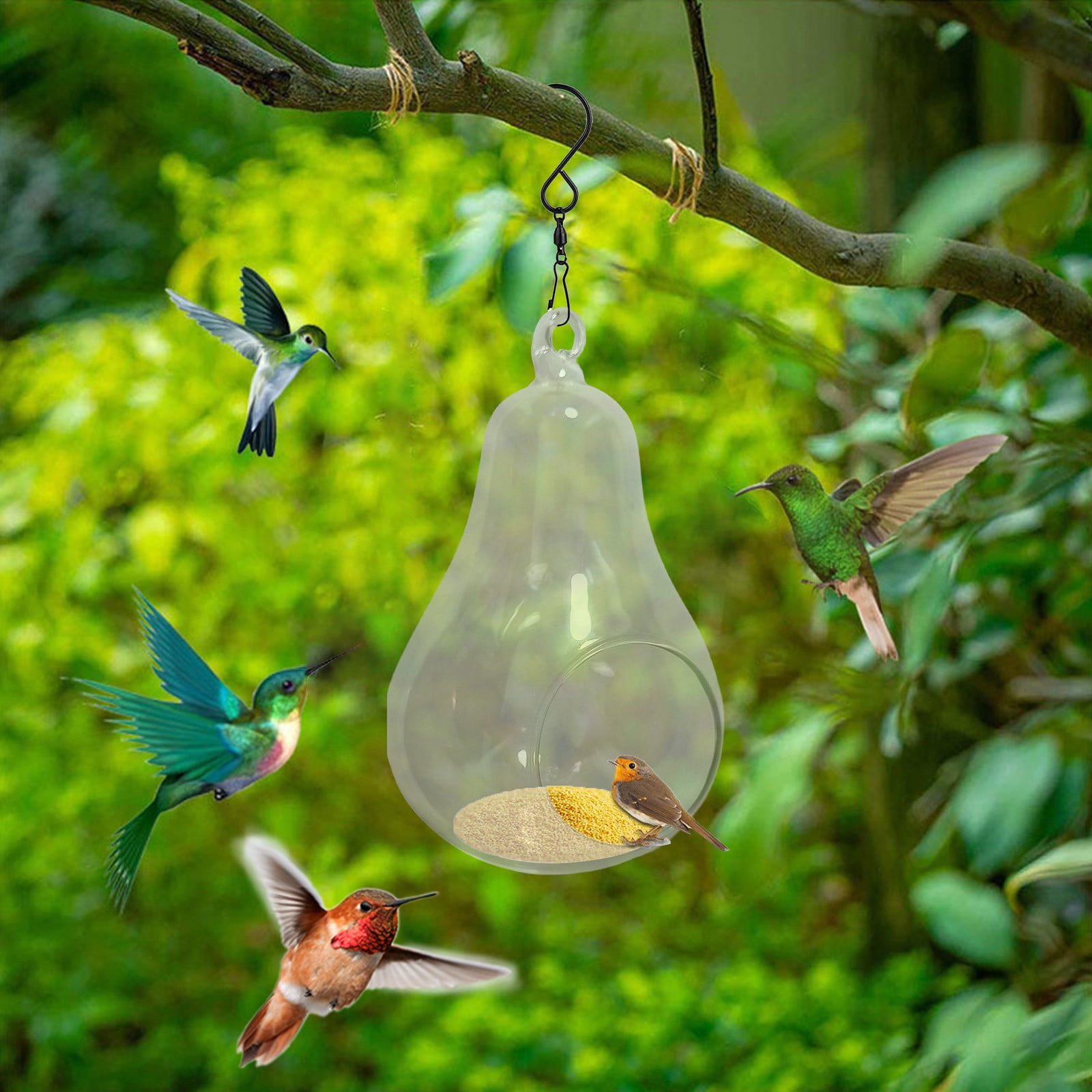 XEOVHV Transparent Acrylic Pears Bird Feeder - Enhanced Suction Grip ...