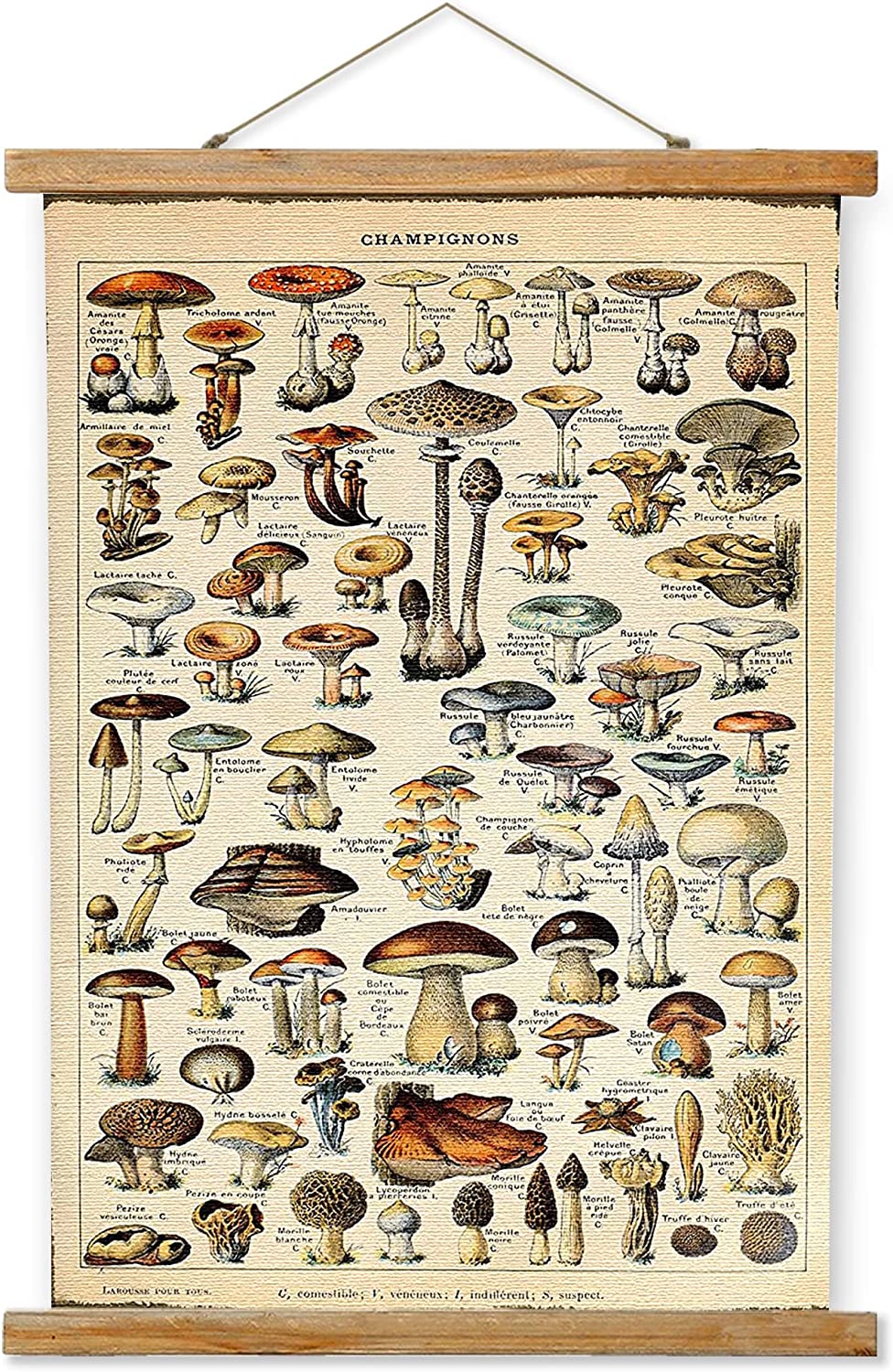 XFX Vintage Mushroom Poster with Wooden Frame - Retro Style of ...