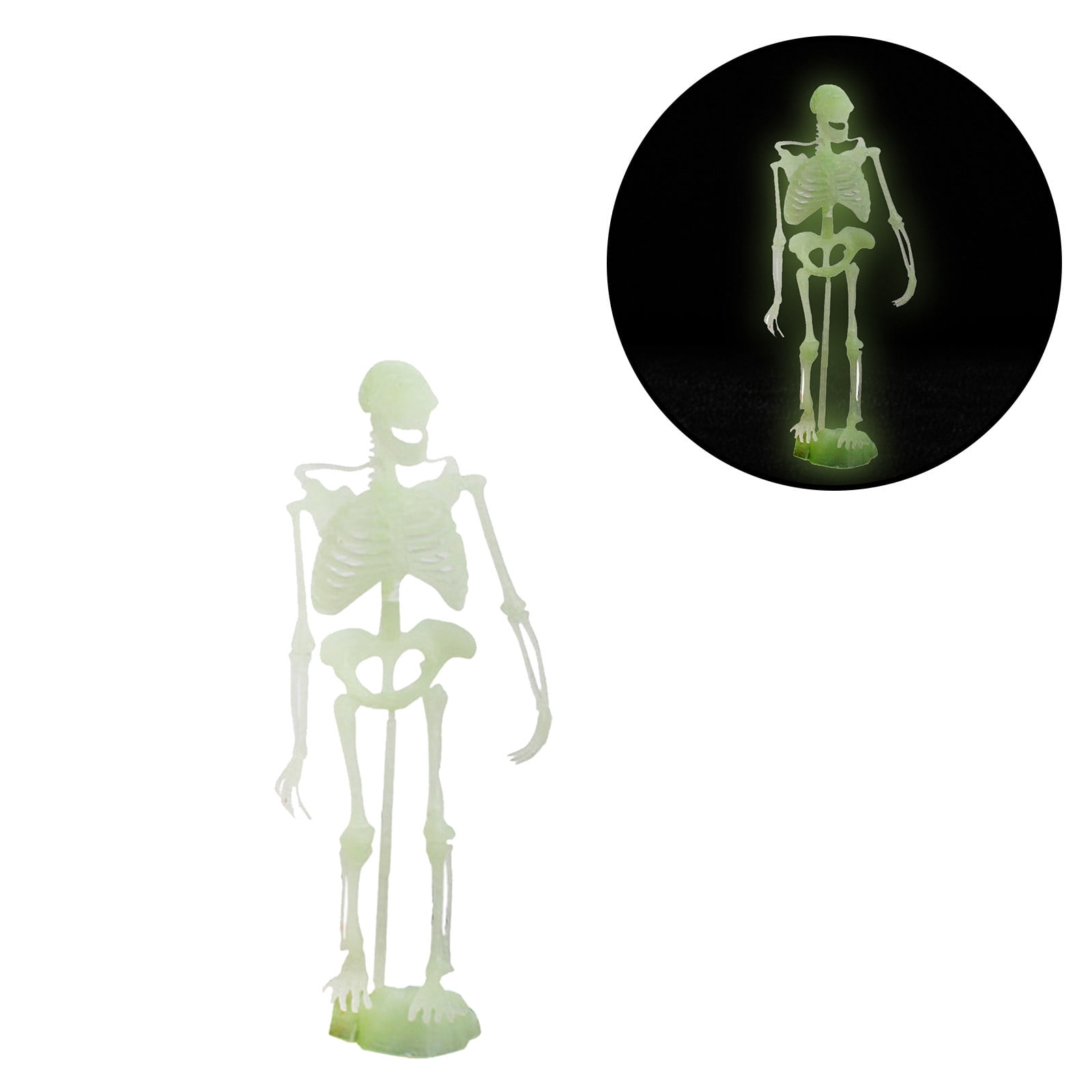 XHLQCBL Toy,Noctilucent Dinosaur Human Skeleton Model Assembly Skull ...