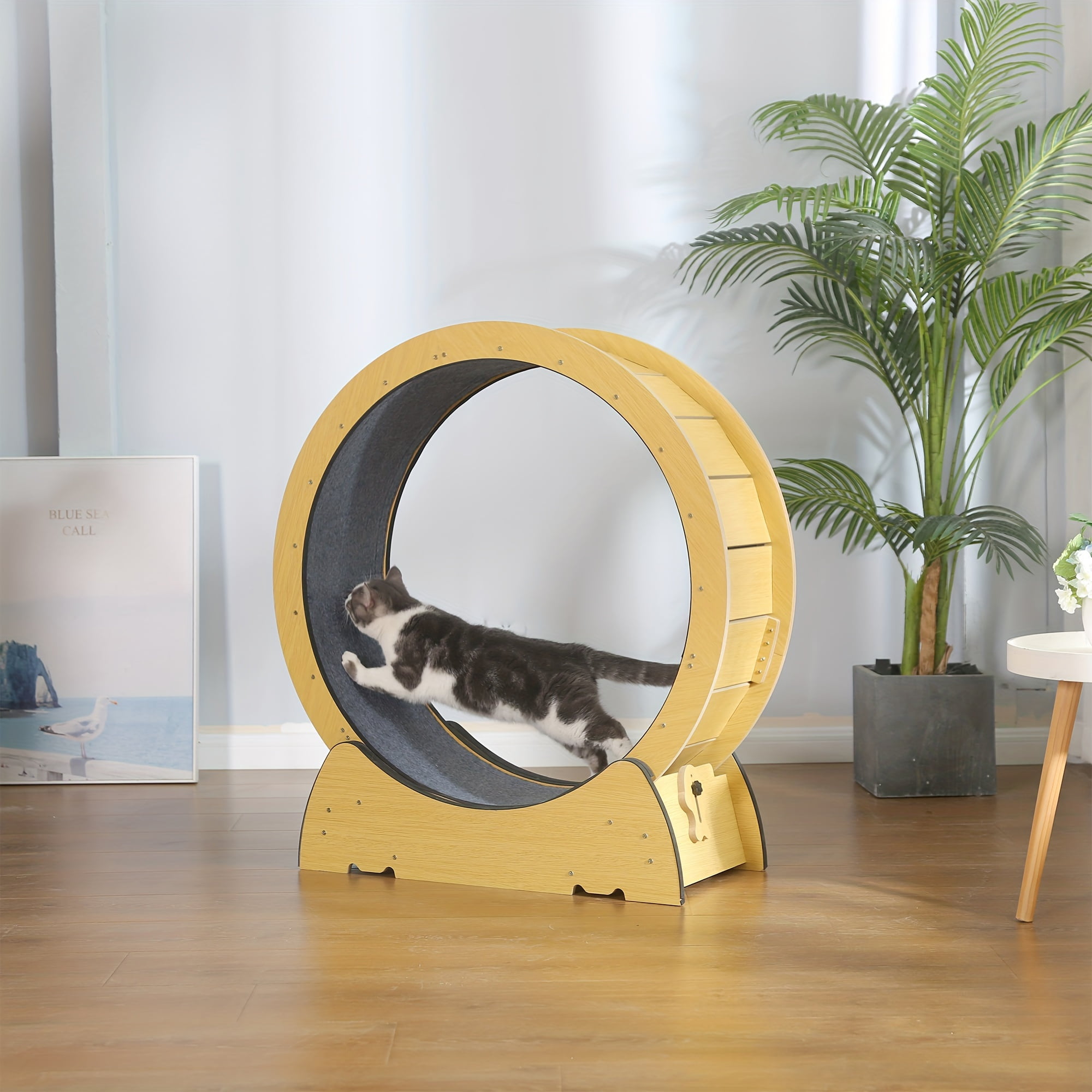 XHT Cat Exercise Wheel Cat Treadmill Running Wheel for Indoor Cats ...