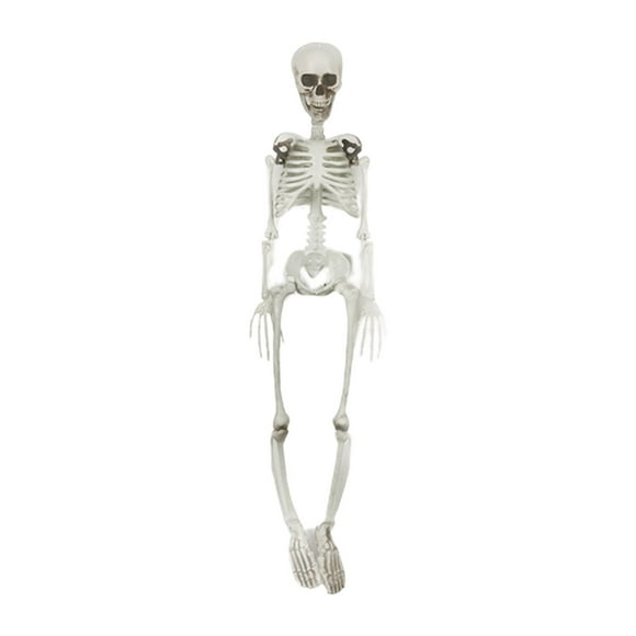 6 Foot Skeletons