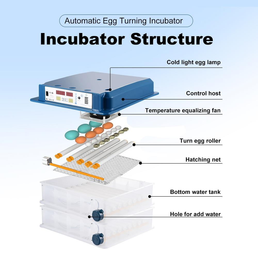 XIANERS Humidity Control Egg Incubators Intelligent Humidity Control ...