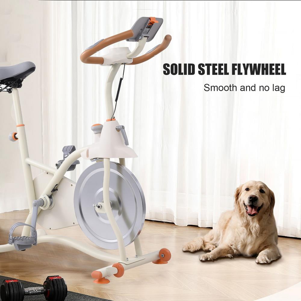 XIANERS Magnetic Fitness Cycle Magnetic Adjustable Cycle Stationary ...