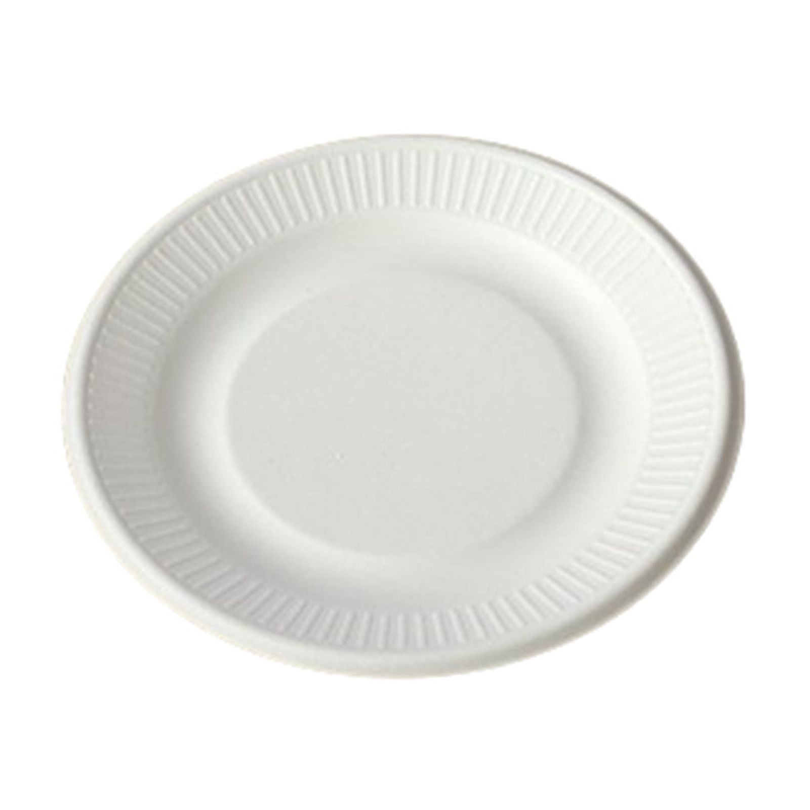 XIAOLE Compostable Paper Plates, Heavy Duty Disposable Plates [10-Pack ...