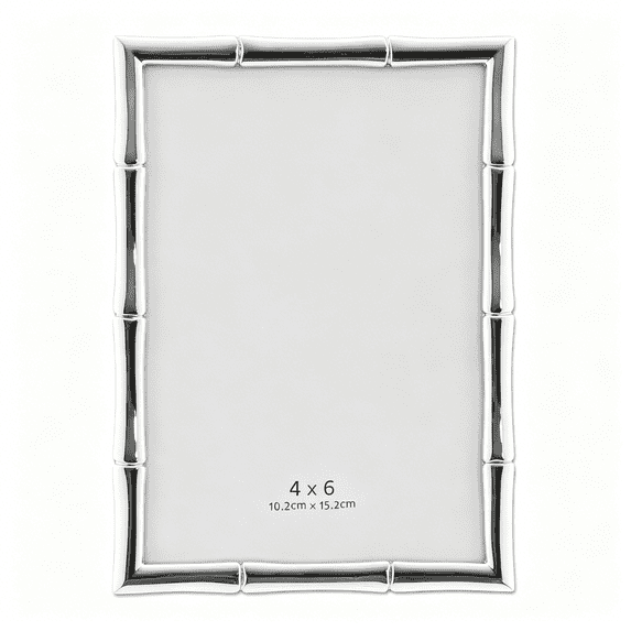 XIBUFE 4x6in Modern Minimalist Picture Frame,Silver Bamboo Design Frame ...