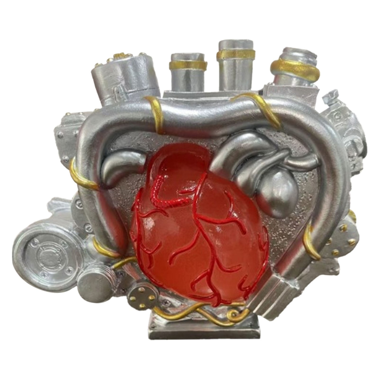 XIEULQP Human Heart Model, Engine Anatomical Heart Model On Diaphragm ...