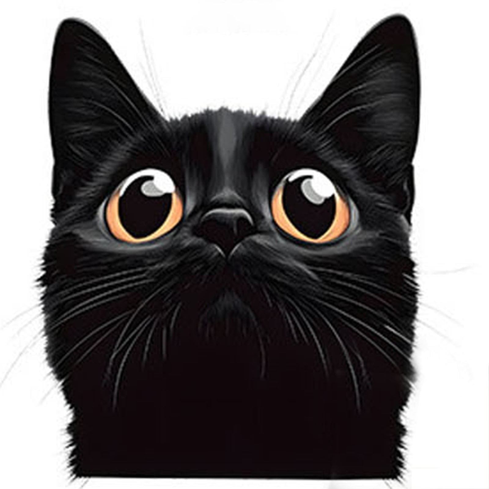 XIEULQP Peeking Sneaky Cat Sticker Funny Vinyl Waterproof, 8.3in - Cup ...