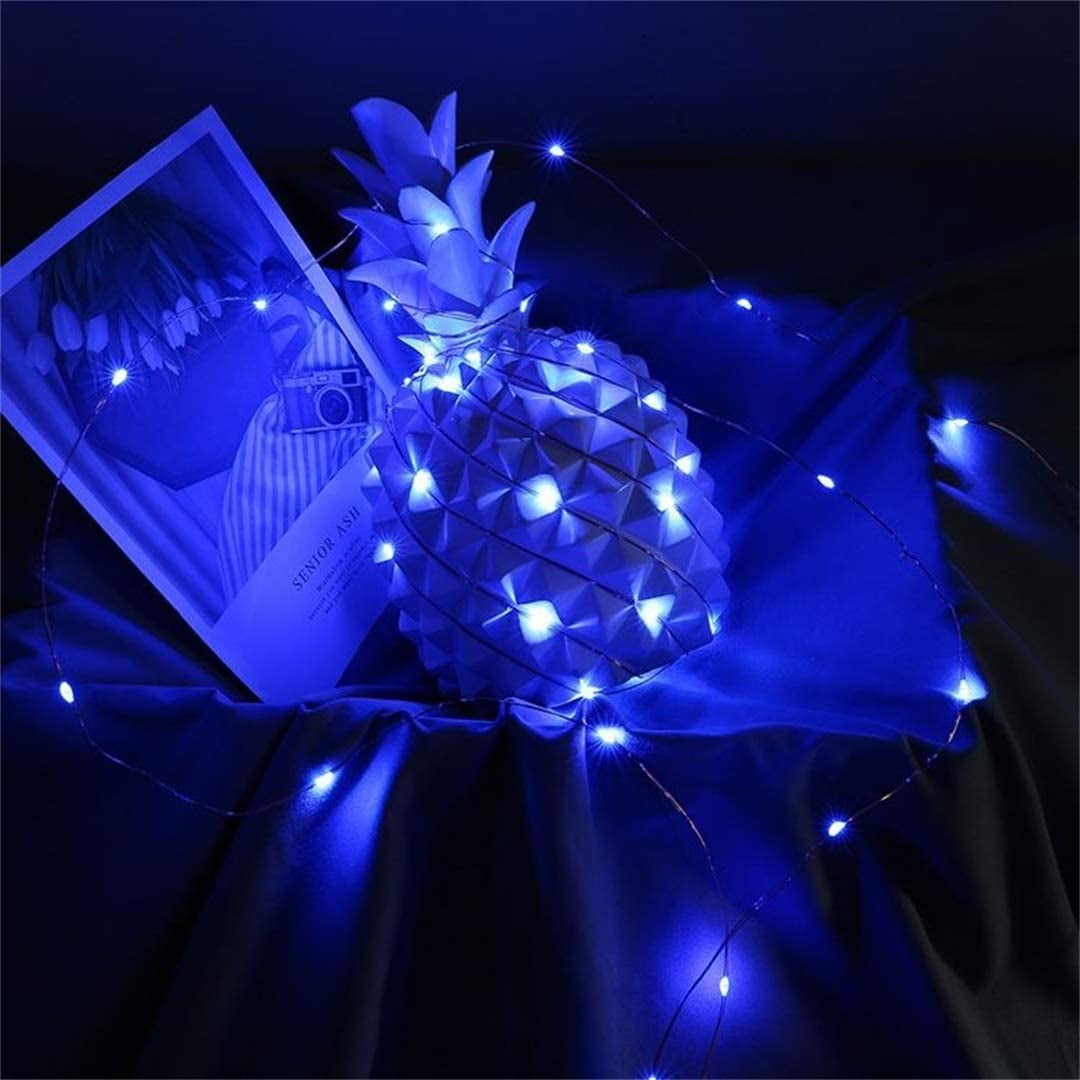 XINDUO-2 Pack Battery Operated Mini Led String Lights,Indoor Fairy ...