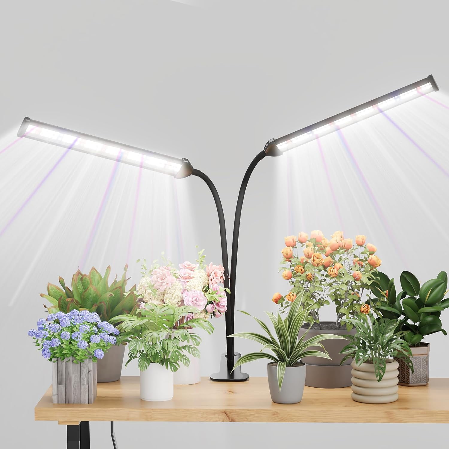 XIULIN Grow XIULIN LED Gooseneck Lamp,Dual-HXIULINd White Full Spectrum ...