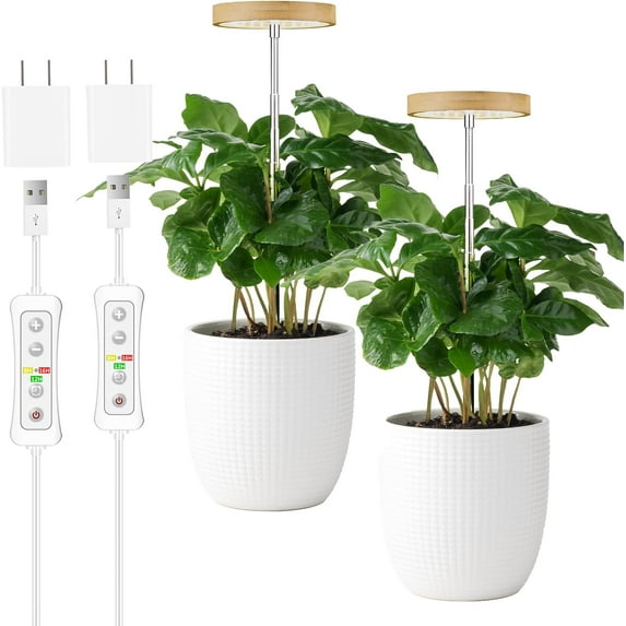XIULIN Plant Grow XIULIN for Indoor Plant,Bamboo Mini LED Grow XIULIN ...