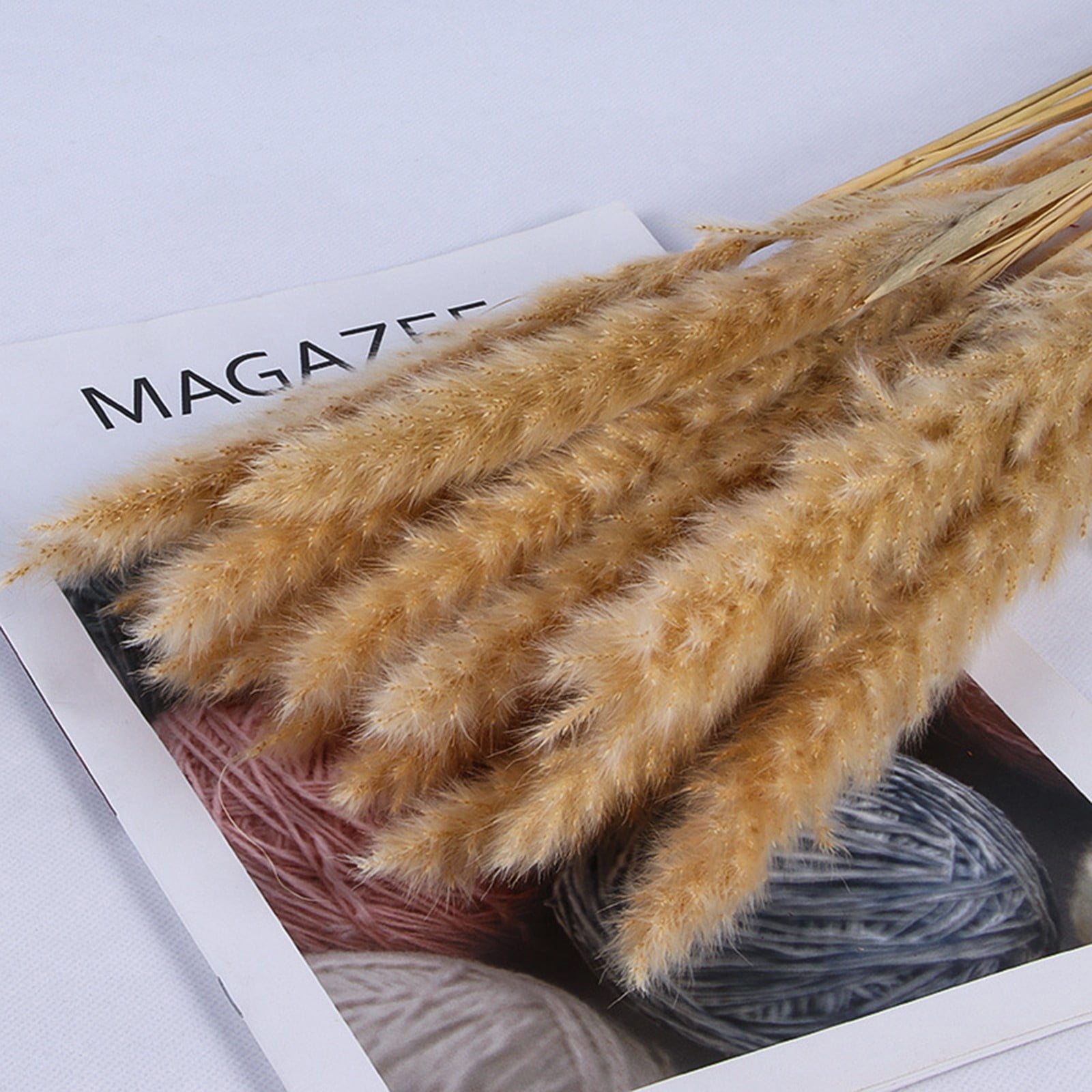 XIXISTARYY Dried Flowers Natural Brown Dried Pampas Grass (30 Stems ...