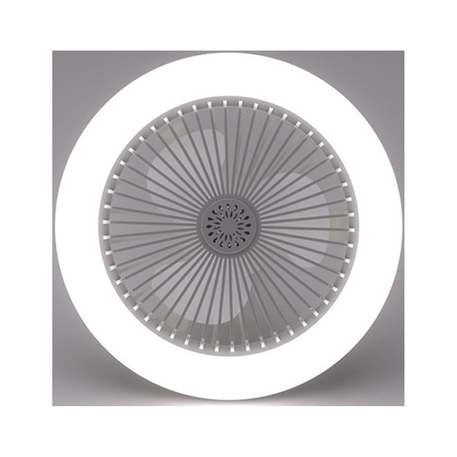 XIXISTARYY Fans That Blow Cold Air Ceiling Fans With Lights, 2 In 1 ...