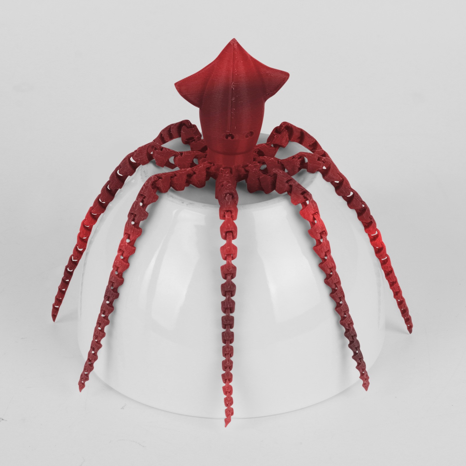 XIXISTARYY Home Essentials 3D Printing Cuttlefish 3D Printing ...