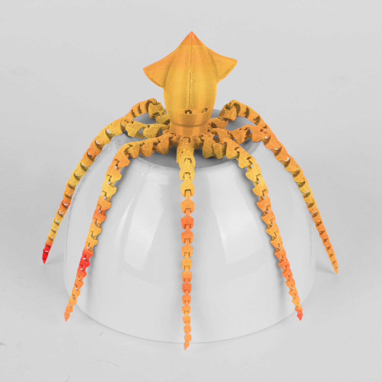 XIXISTARYY Home Essentials 3D Printing Cuttlefish 3D Printing ...