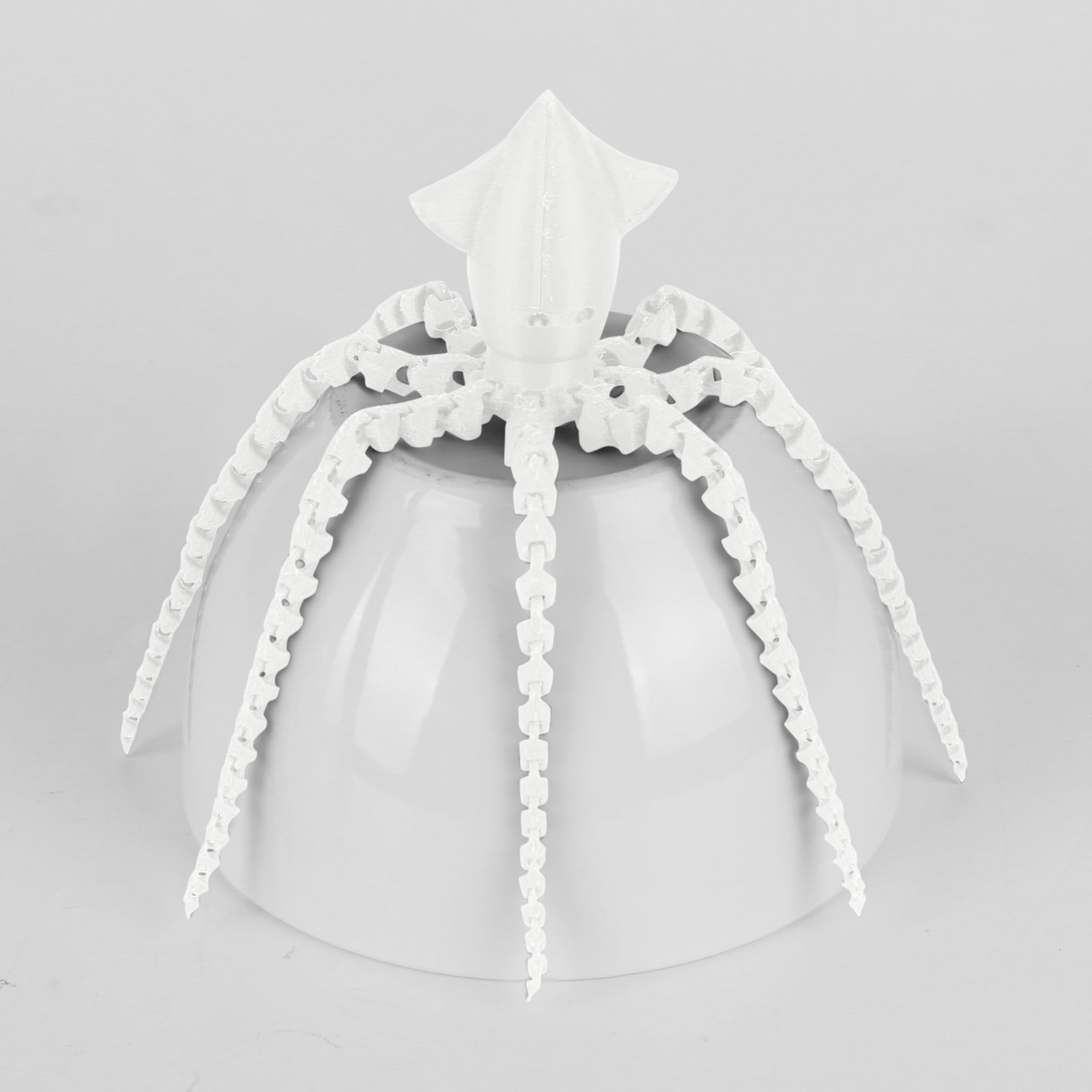 XIXISTARYY Home Essentials 3D Printing Cuttlefish 3D Printing ...