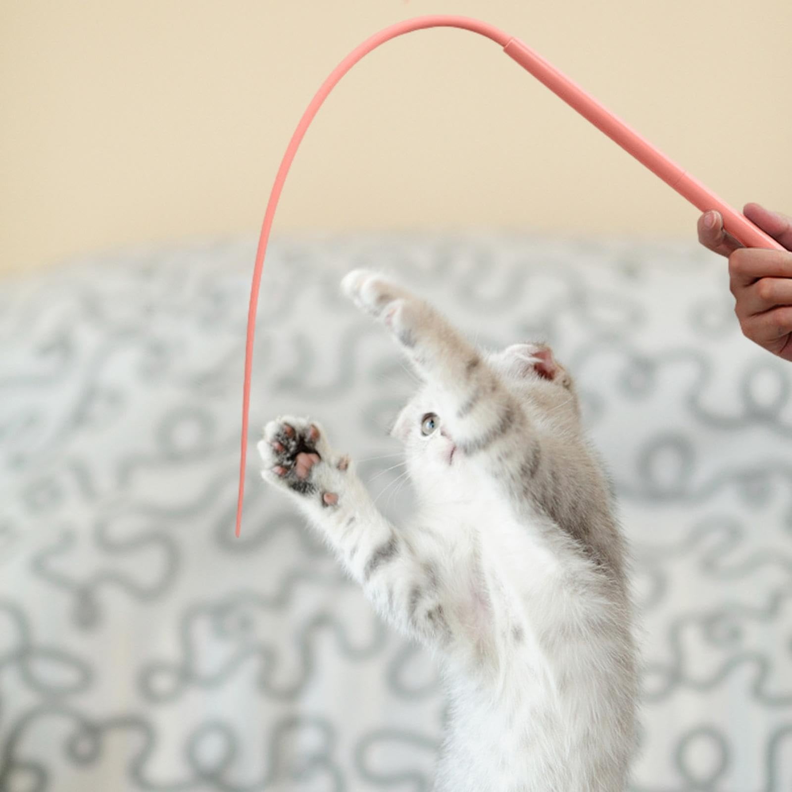 XIXISTARYY Home Essentials Cat Toy Wand, Cat Toys Interactive Cat Toys ...