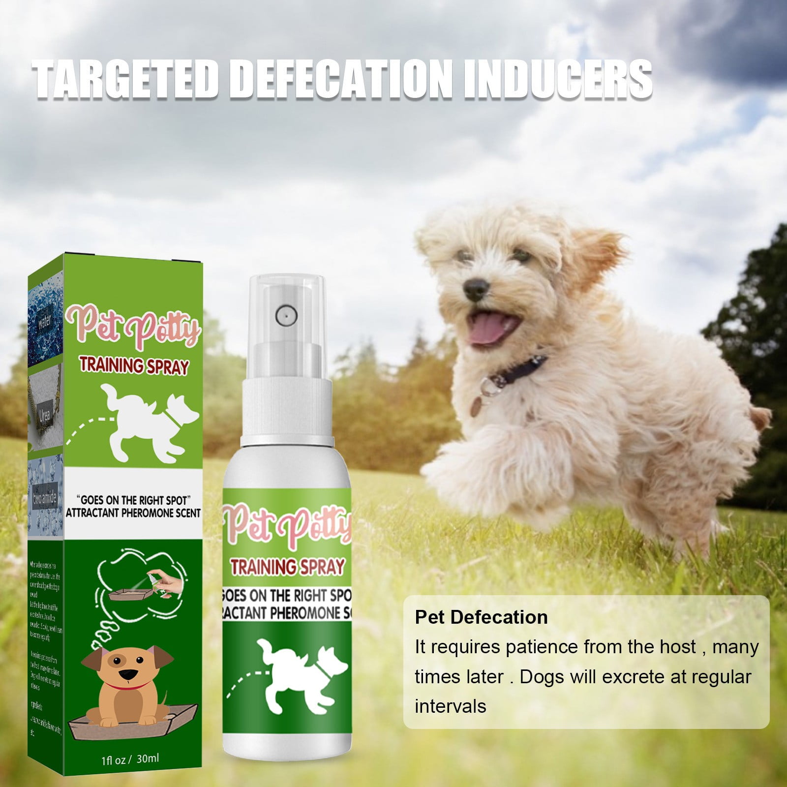 XIXISTARYY Pet Supplies Pet Training Spray Encourage Dogs To Urinate ...