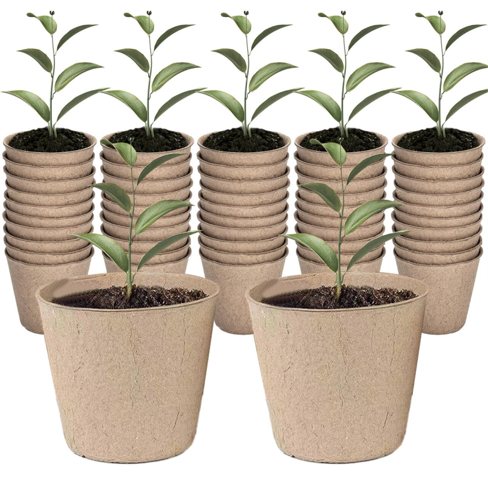 XIZAO Peat PotsTRDN Biodegradable Round Plant Seedling Starters Pots ...