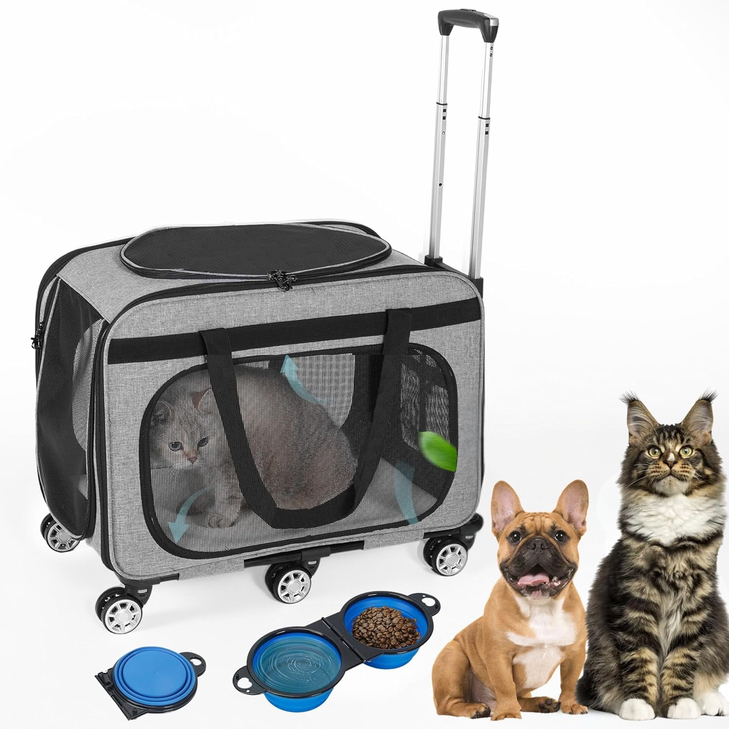 XL Cat & Small Dog Carrier | 25" L x 16" W x 17" H - up to 40 lbs - NOT ...