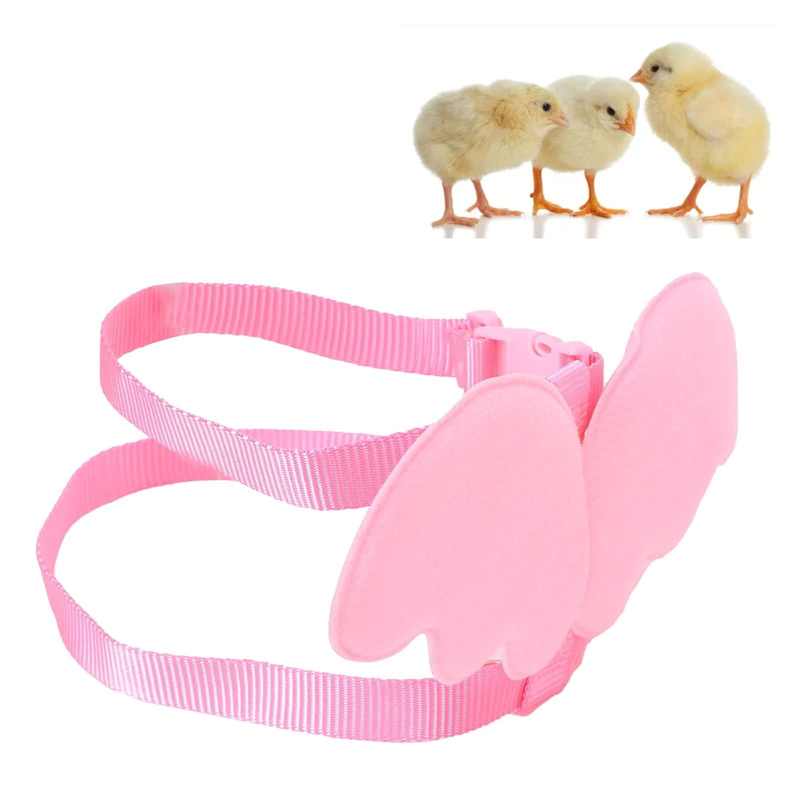 XL Chicken Harness, Duck Harness with Wings Shape Duck Leash Pet ...