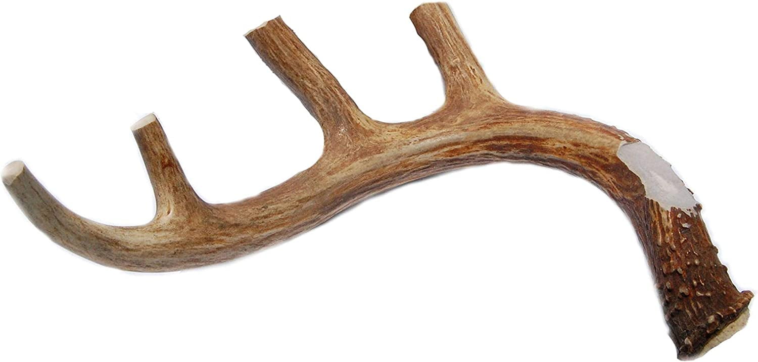 XL Deer Antler Dog Chew - Extra Large, Jumbo, for Large Dogs and ...