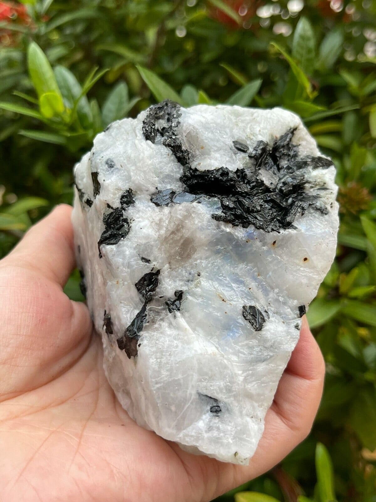 XL Raw Rainbow Moonstone, Rainbow Moonstone Rough, Rainbow Moonstone Healing Rough Crystal ...