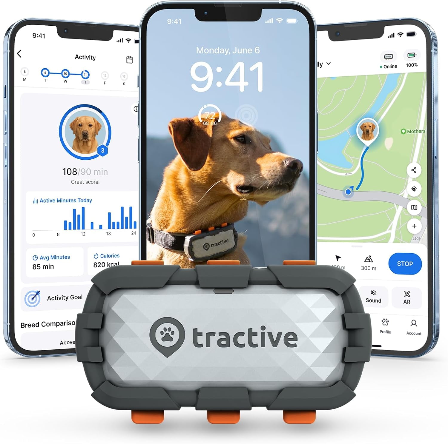 XL Smart Dog GPS Tracker | Live Pet Tracker with Virtual Fence | Vital ...