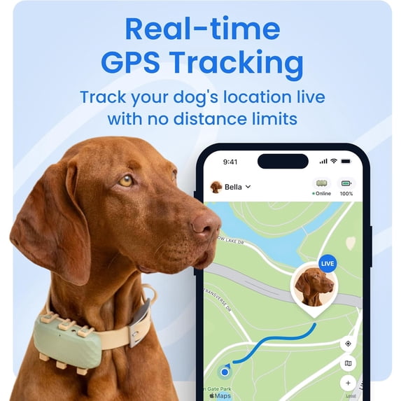 XL Smart Dog GPS Tracker | Live Pet Tracker with Virtual Fence | Vital ...