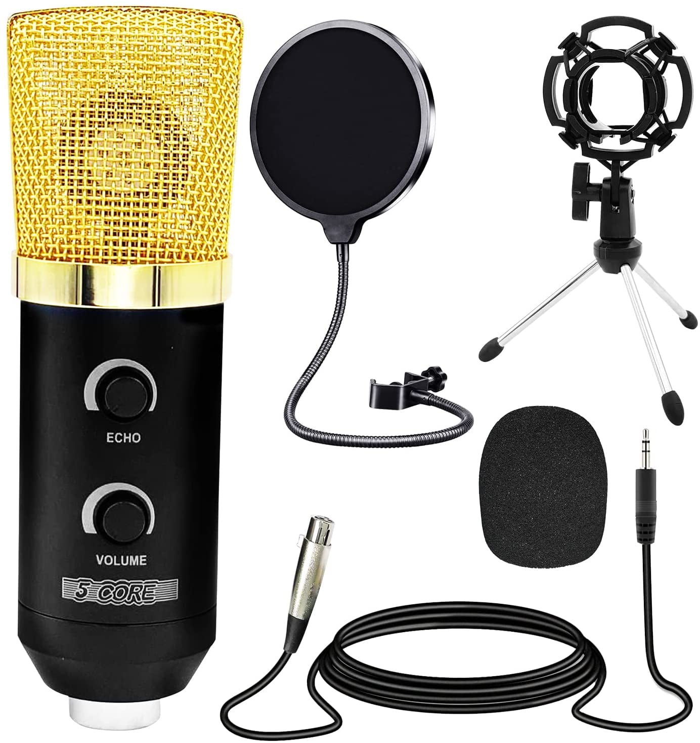 Computer Recording Microphone