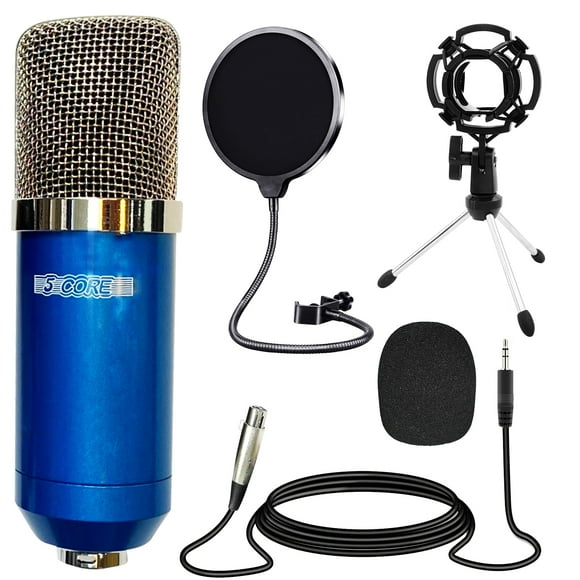 Voice Recording Studio