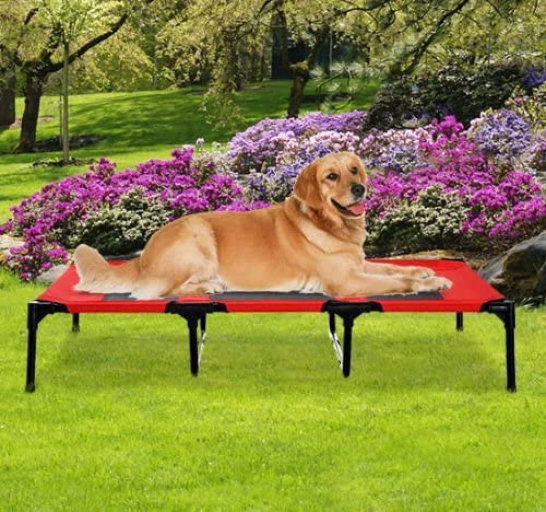 XLarge 48" Dog Pet Cat Elevated Raised Bed Puppy Cot Oxford Outdoor ...