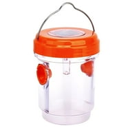 Bees N Things Outdoor Carpenter Bee Trap - Walmart.com