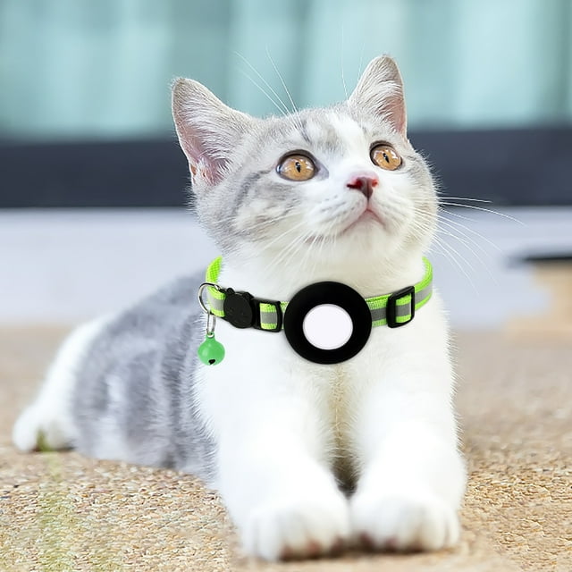 XMMSWDLA Birthday Decorations Collar with Bell Reflective Collar ...