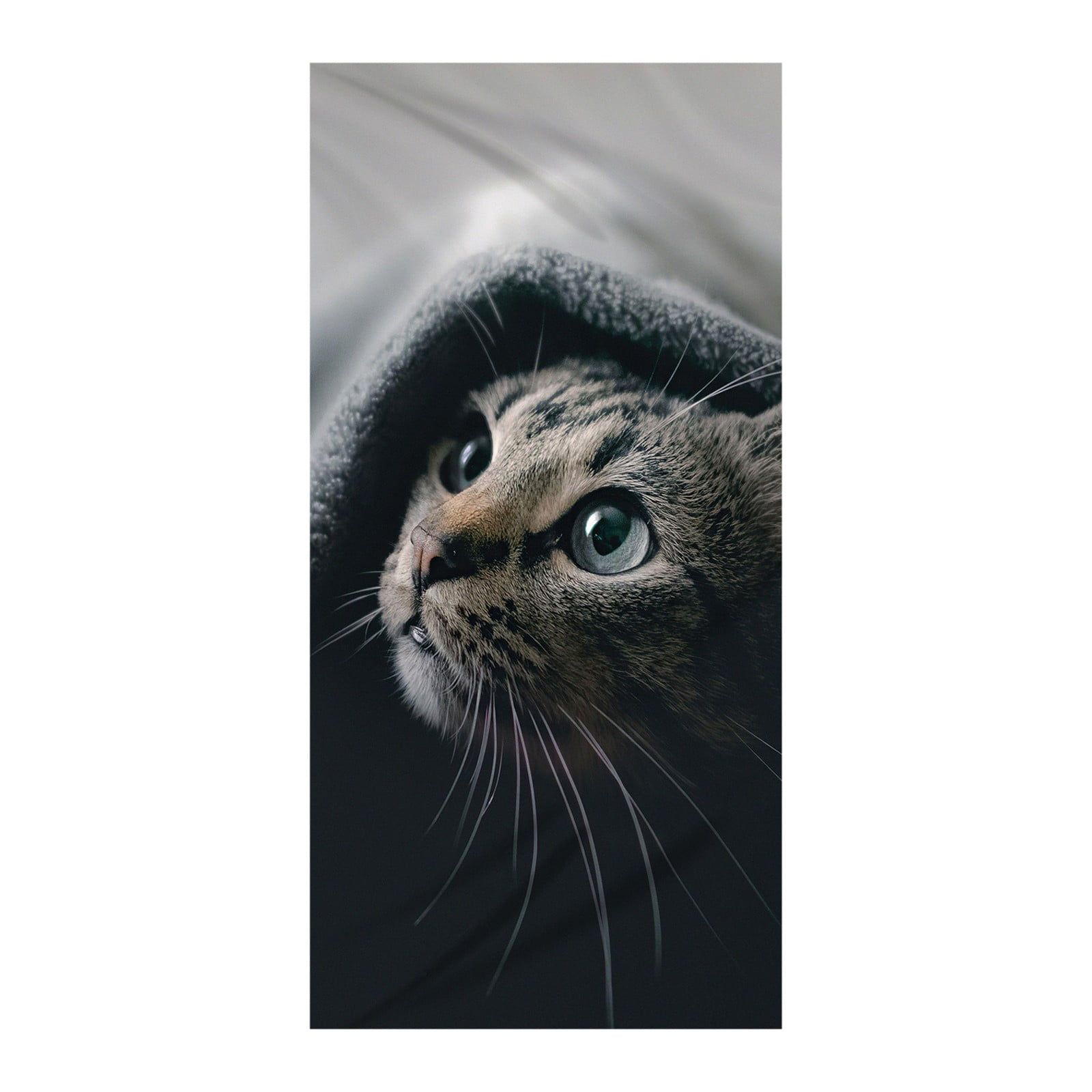 XMMSWDLA Cat Kitten Beach Towel for Women, Microfiber Anime Picnic Bath ...